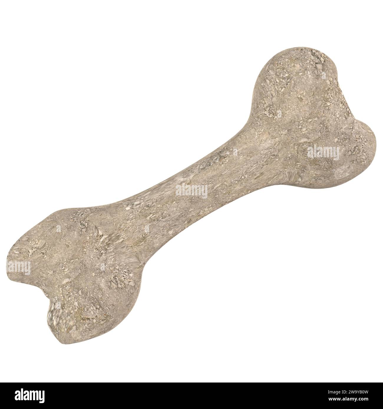 Dog Bone isolated on white background Stock Photo - Alamy