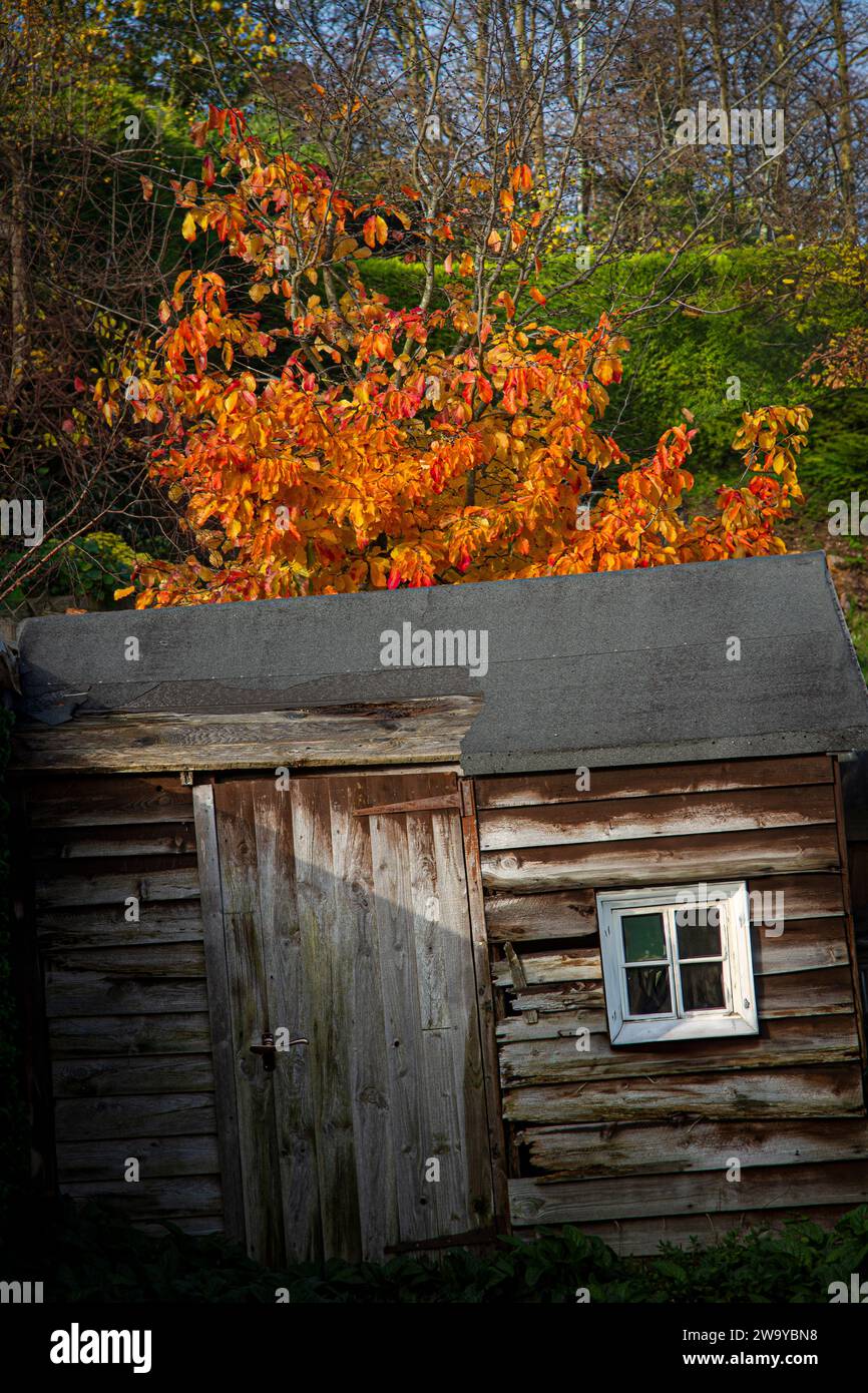 Small collapsing hi-res stock photography and images - Alamy