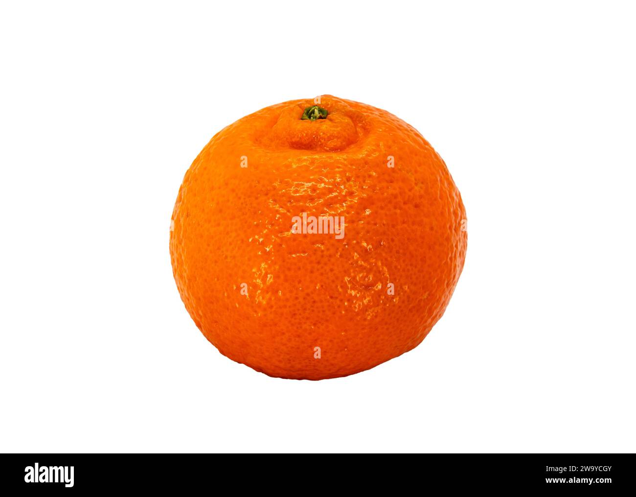Single mandarin orange isolated on a clean white background Stock Photo ...