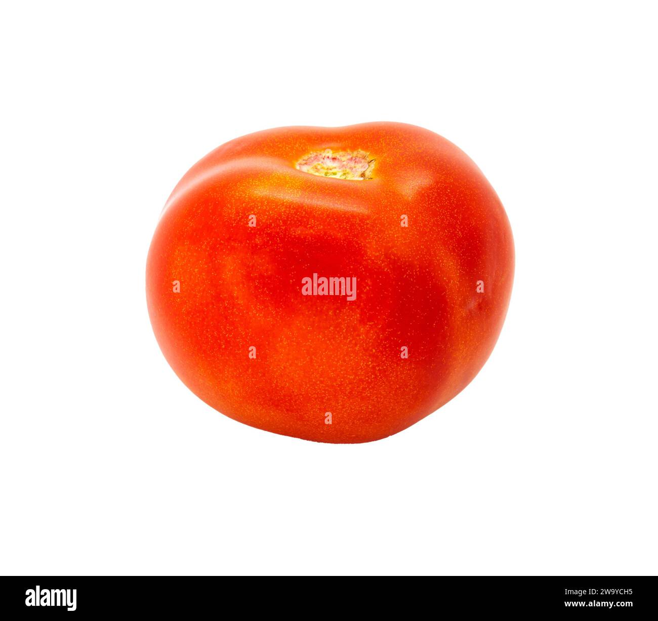 Single tomato isolated on a clean white background Stock Photo - Alamy