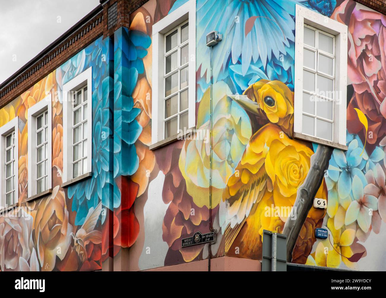 Ireland, Munster Waterford, High Street, bird and flower themed painted ...