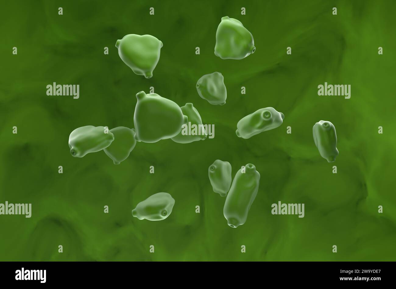 Silver Birch tree pollen grains - isometric view 3d illustration Stock ...
