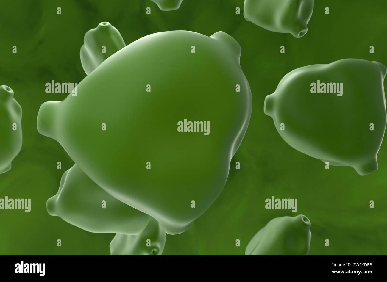 Silver Birch tree pollen grains - closeup view 3d illustration Stock ...