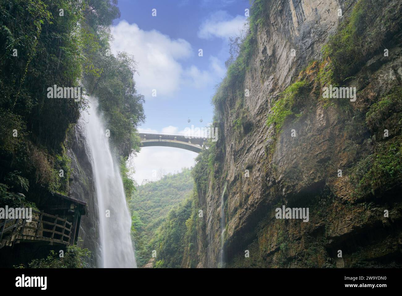 Lush vegetation and waterfalls. Bridges across canyons, cable cars in ...