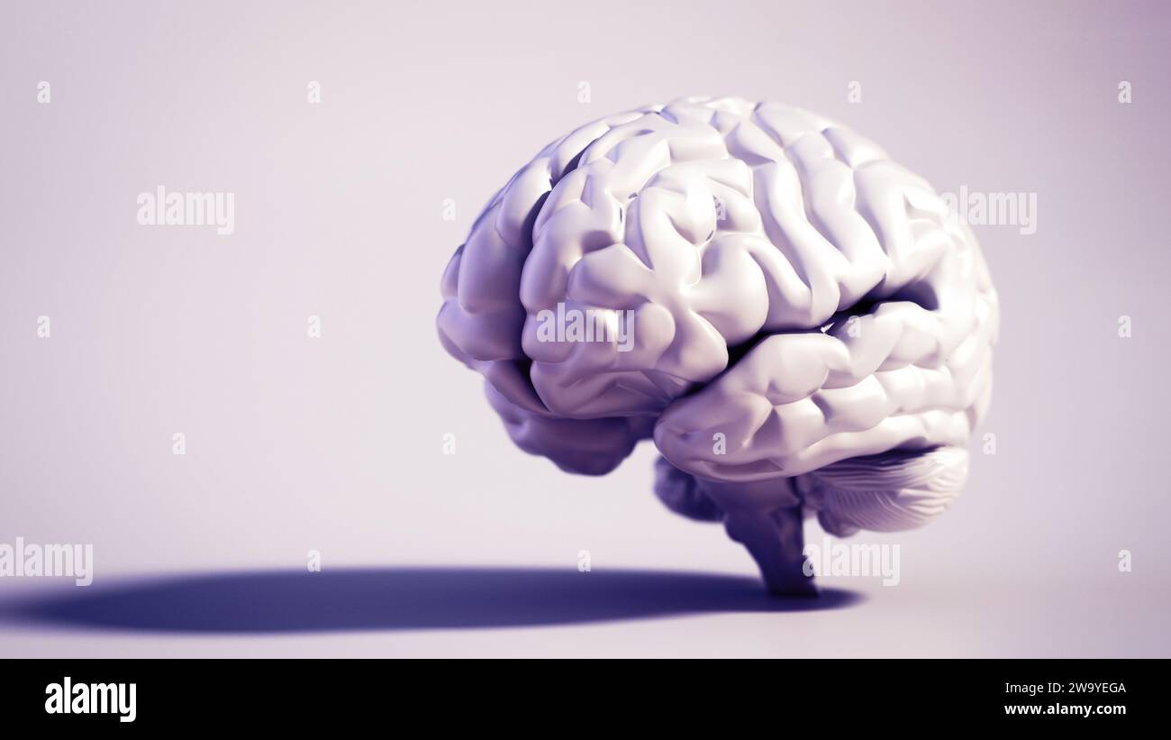 Human brain standing on soft color background. Copy space on the right ...
