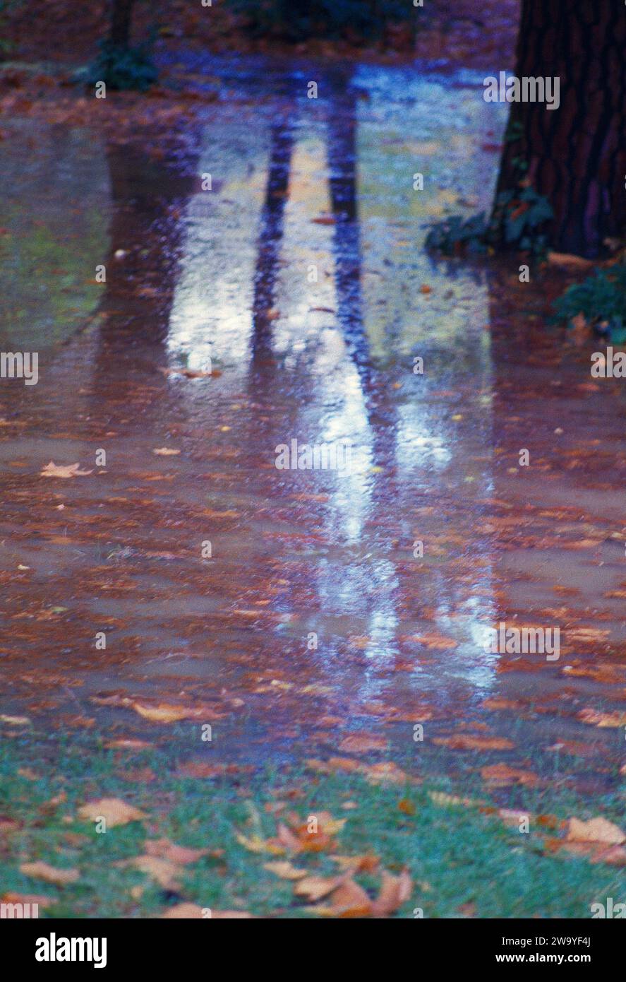 Reflection on puddle Stock Photo - Alamy