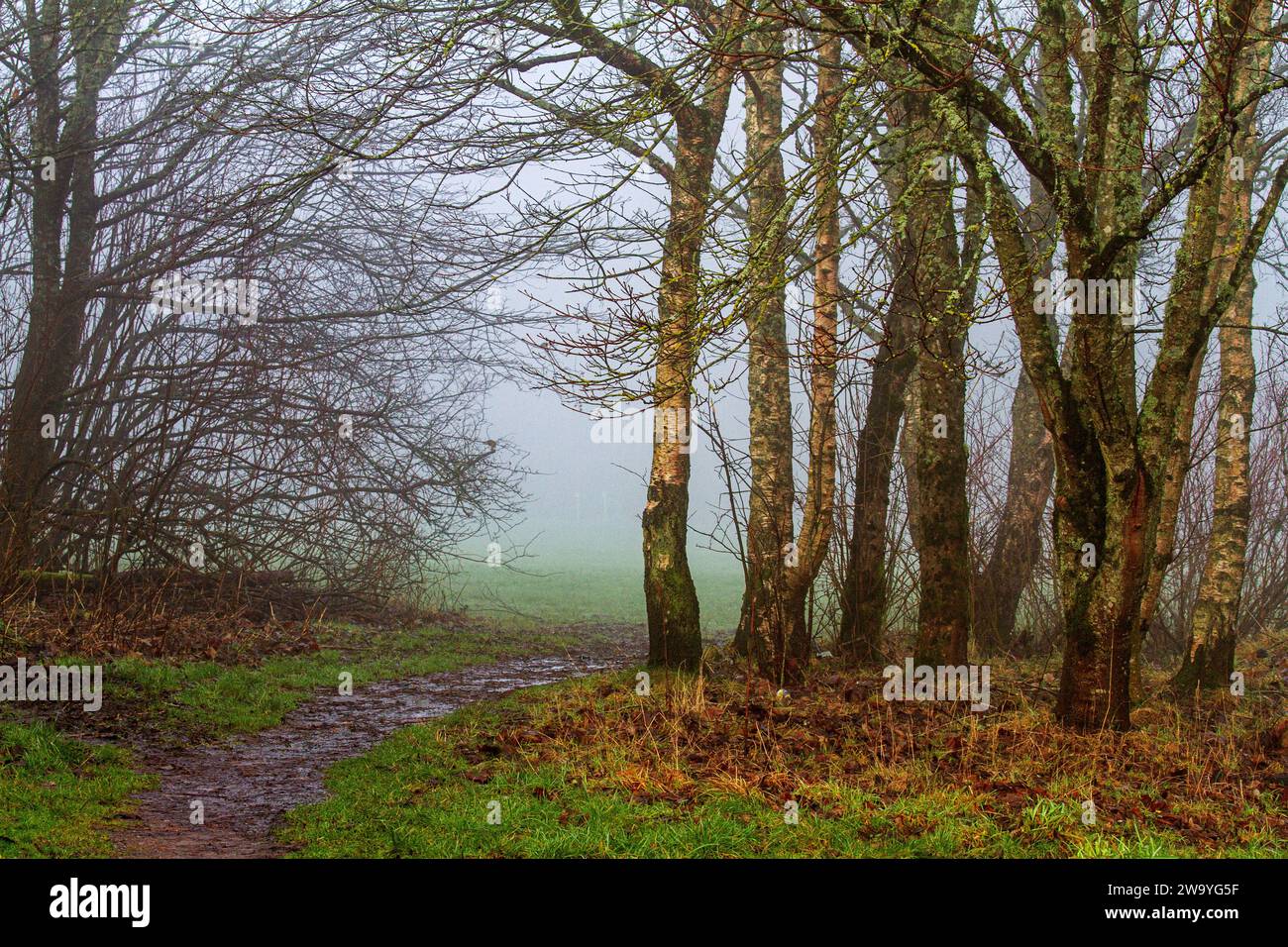 Clatto park dundee hi-res stock photography and images - Alamy