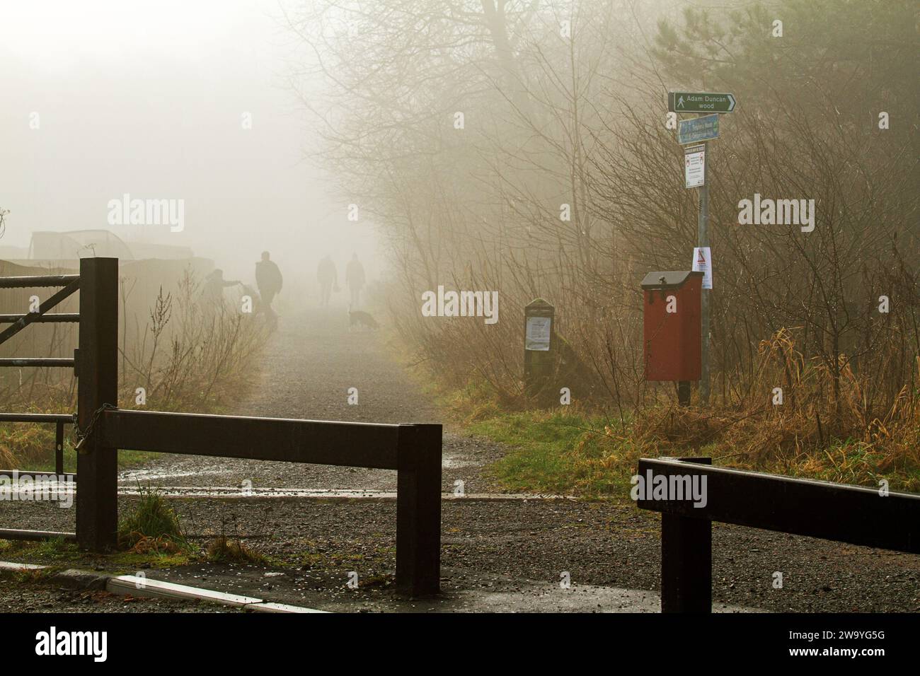 Dundee, Tayside, Scotland, UK. 31st Dec 2023. UK Weather: Scotland's ...
