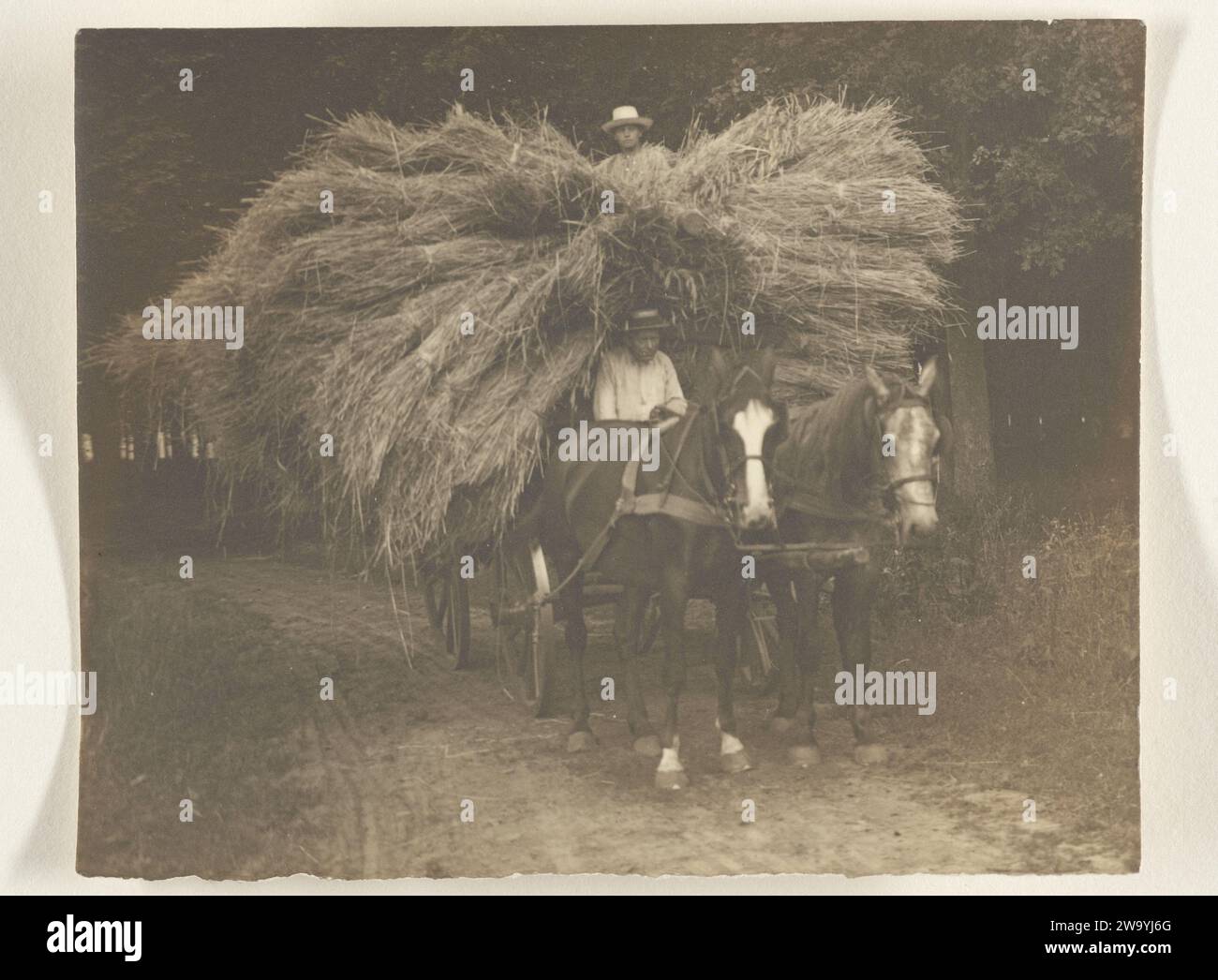 Horse and carriage loaded with hay, c. 1900 - c. 1930 photograph ...