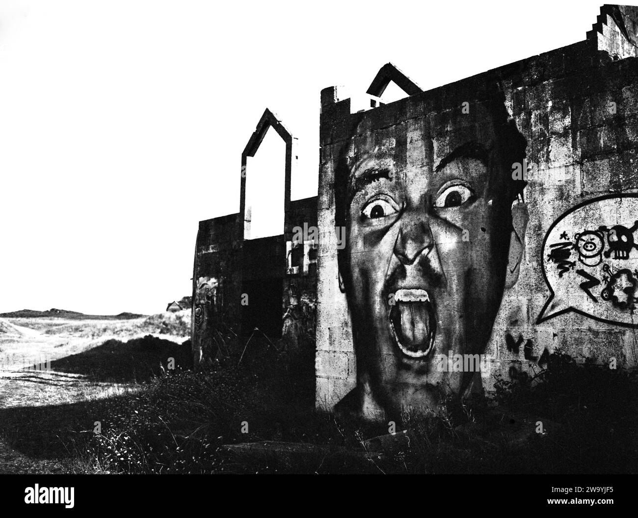 black and white photography of a graffiti with a screaming person on a ...