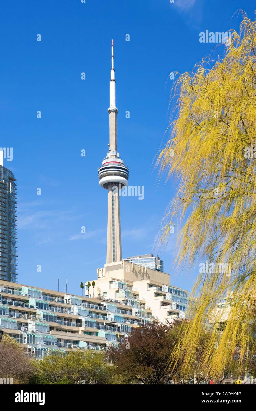 Toronto tree tower hi-res stock photography and images - Alamy