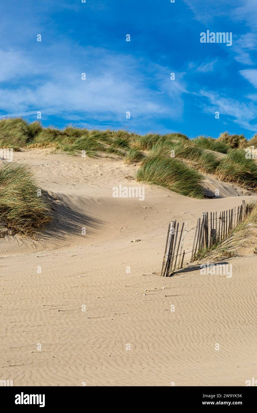 Marram grass covered sand dunes with a blue sky overhead Stock Photo ...