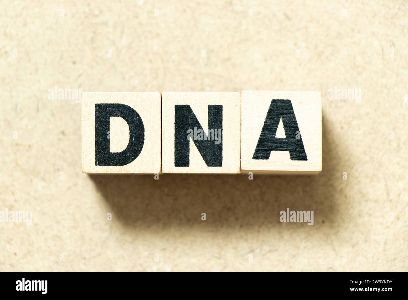 Alphabet letter block in word DNA (abbreviation of Deoxyribonucleic acid) on wood background ...