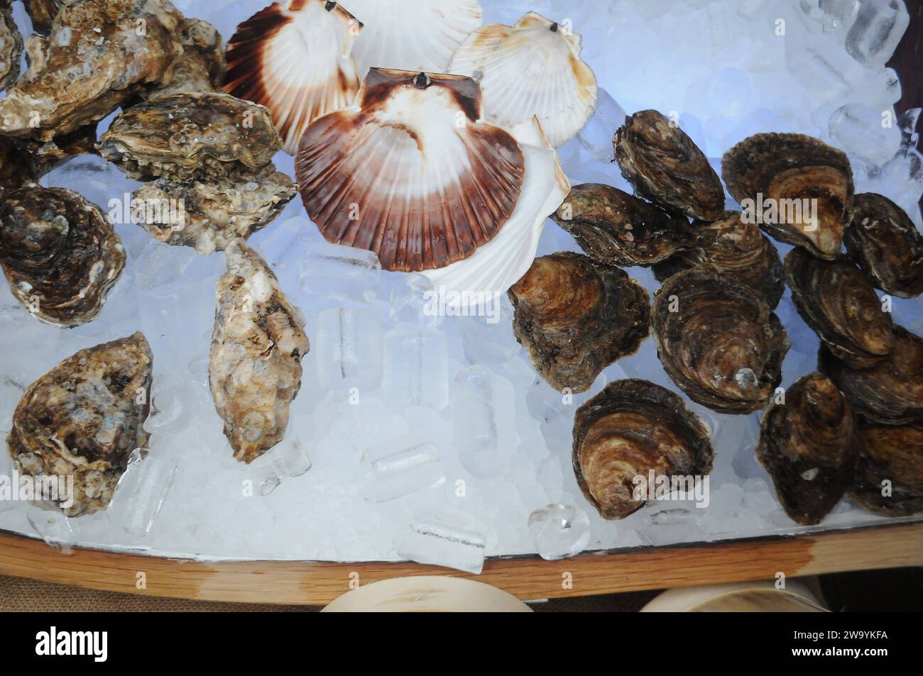 Copenhagen, Denmark /31 December 2023/Travellers and local enjoy osters ...