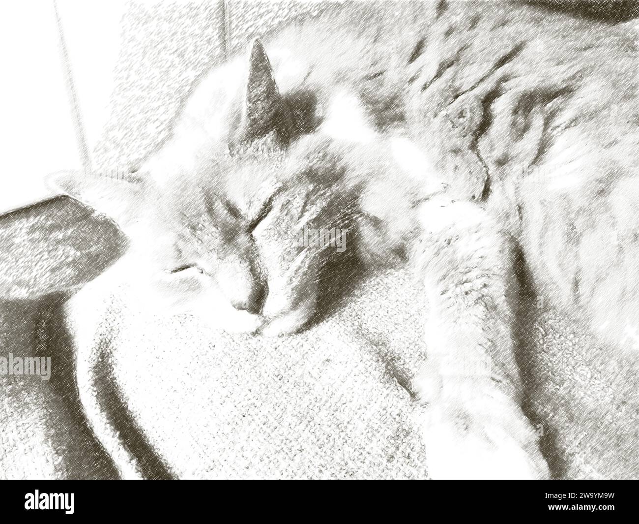 Sleeping cartoon hi-res stock photography and images - Alamy