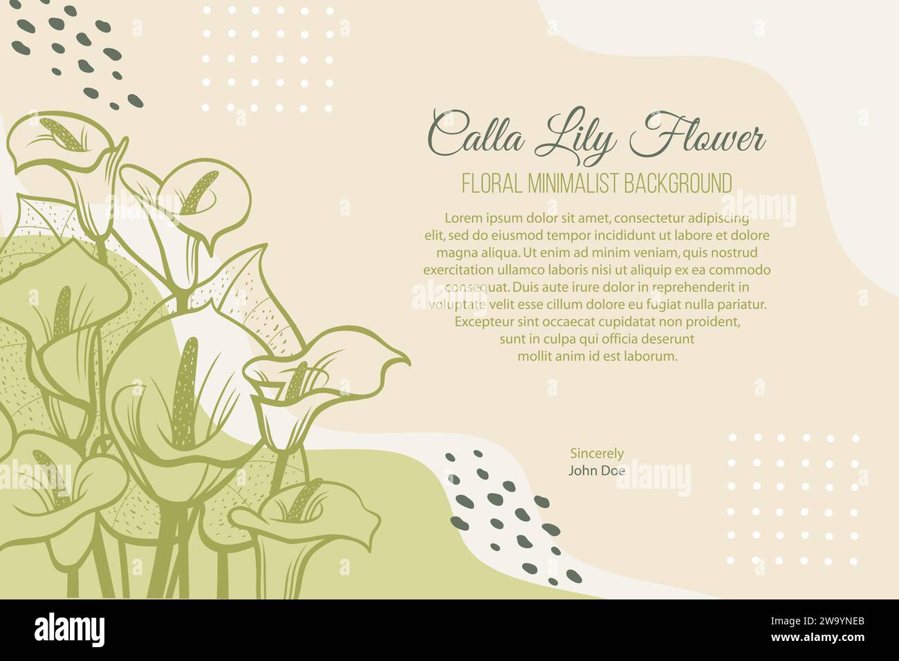 Calla Lily Flower Minimalist Floral Soft Background Stock Vector Image ...
