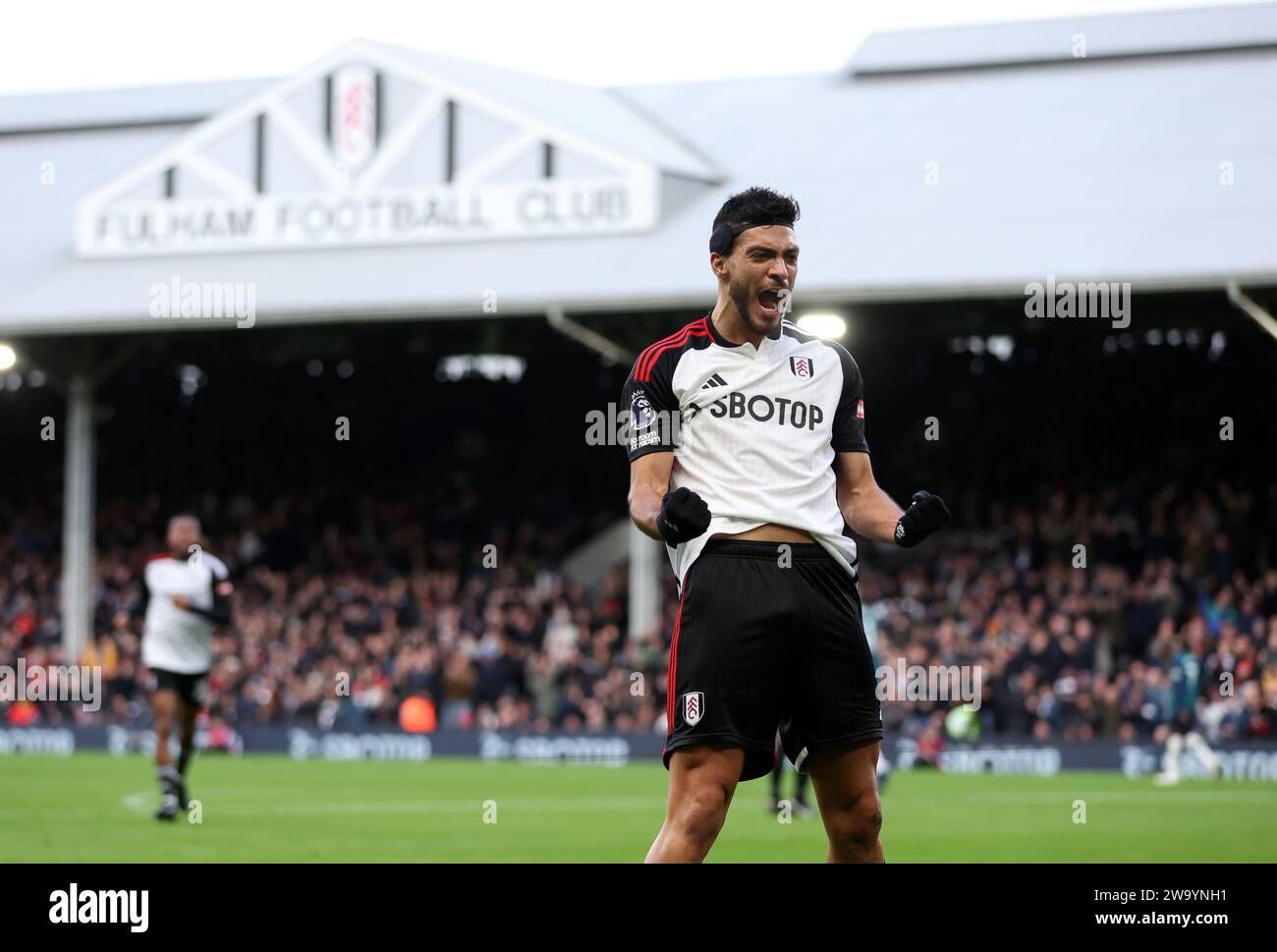 Fulham's Raul Jimenez celebrates scoring their side's first goal of the ...