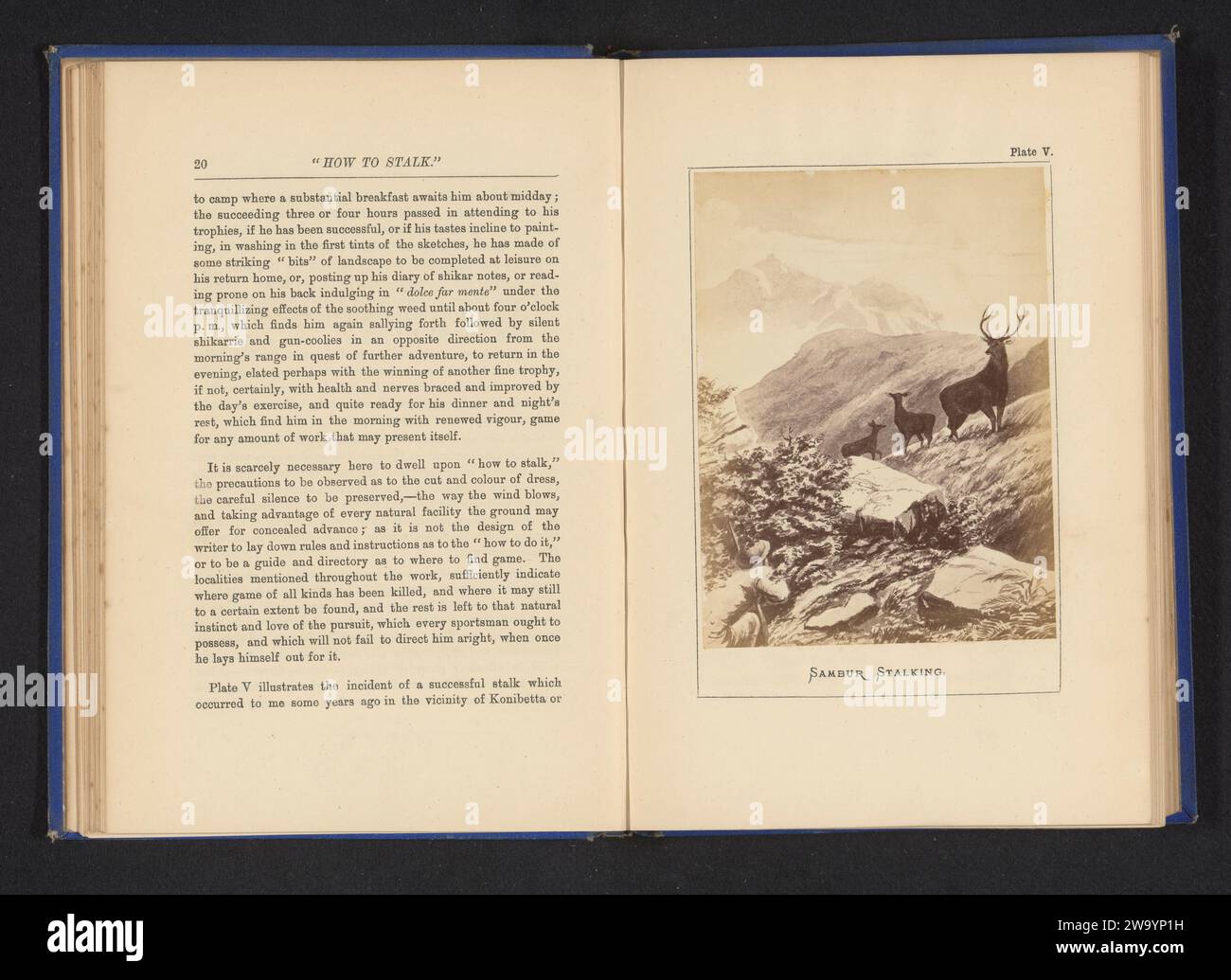 Photo production of a drawing by hunters who stuck Sambars, Nicholas ...