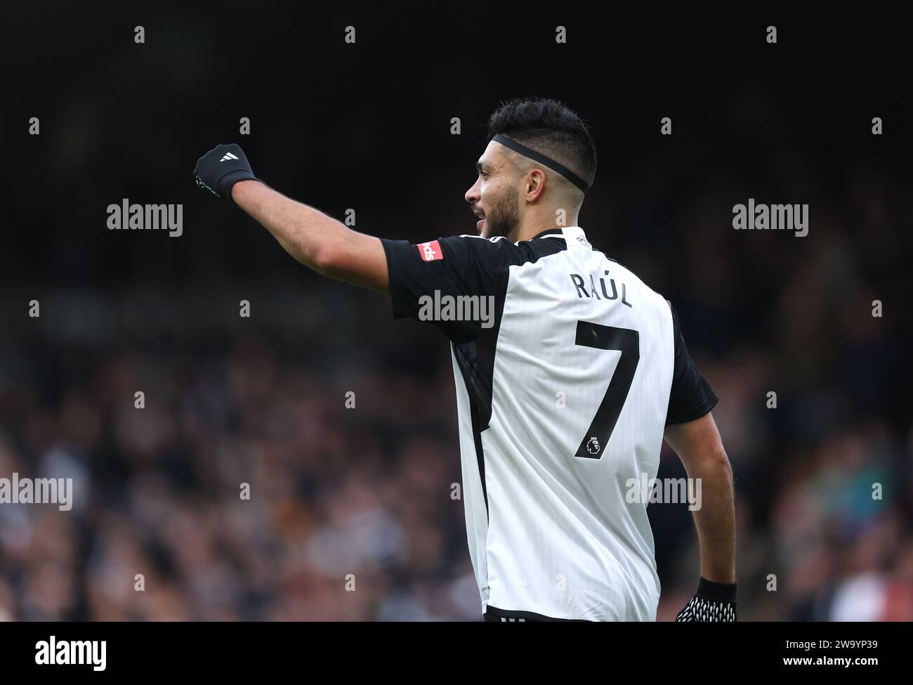 Fulham's Raul Jimenez celebrates scoring their side's first goal of the ...