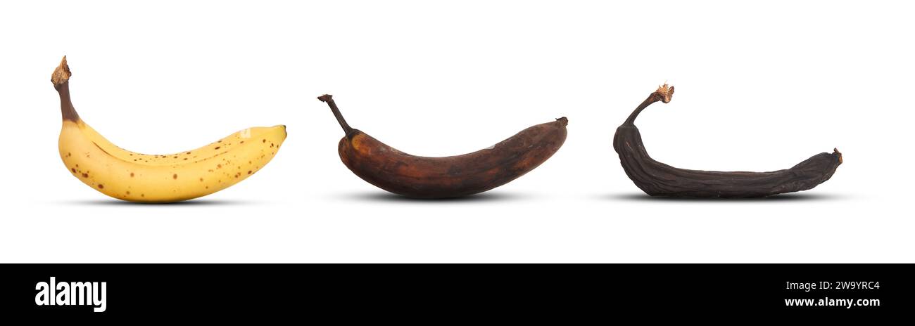 Banana rotting process, ripe banana turns withered and black Stock ...