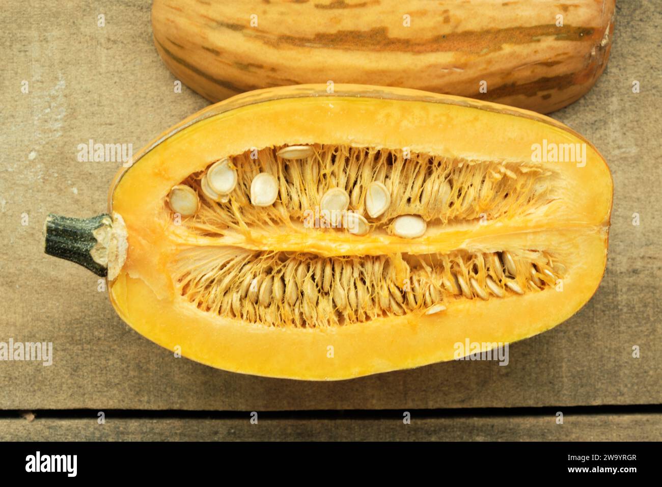 Stripetti halved squash open seen from above Stock Photo - Alamy