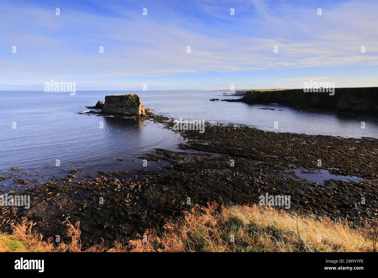 View over the Cleet of Brough rocks, Brough village, Caithness ...