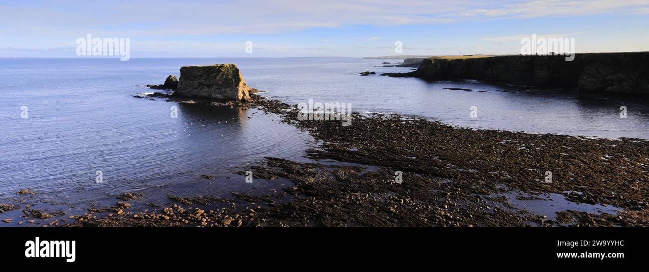 View over the Cleet of Brough rocks, Brough village, Caithness ...