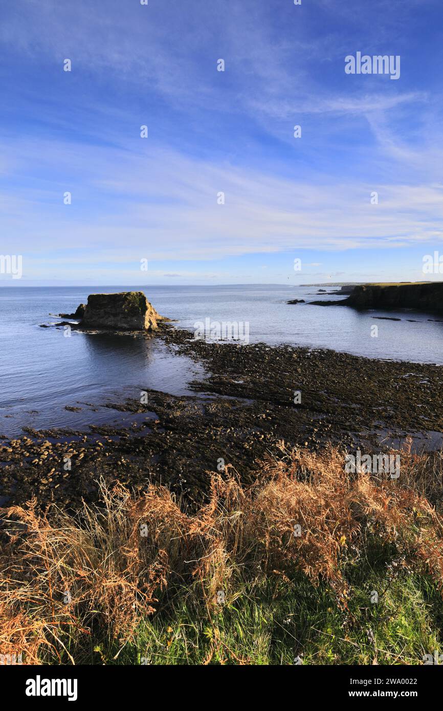 View over the Cleet of Brough rocks, Brough village, Caithness ...