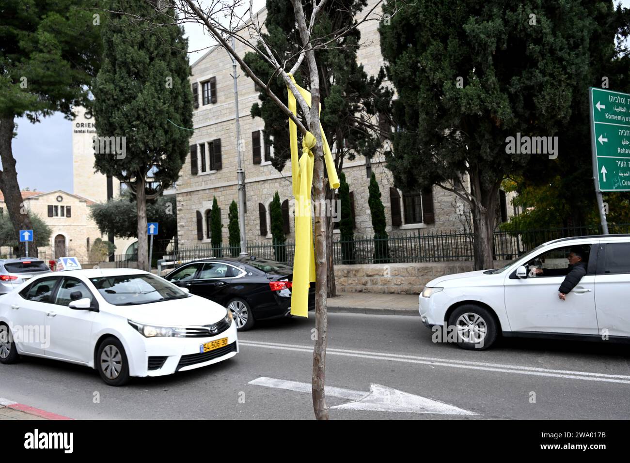 Cars drive by yellow ribbons tied on a tree for Israeli hostages ...