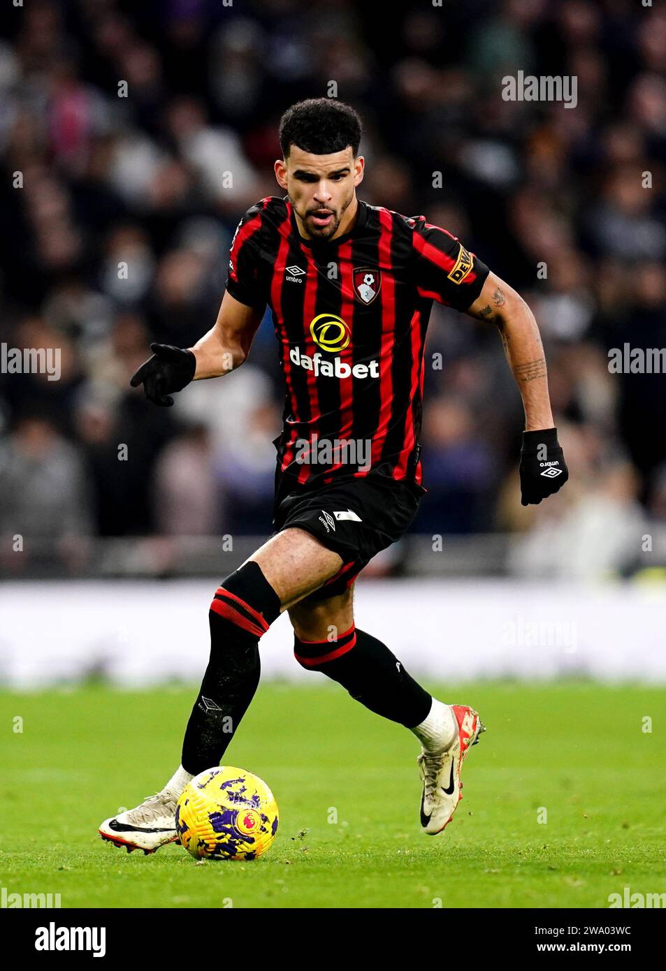 Bournemouth's Dominic Solanke during the Premier League match at the ...