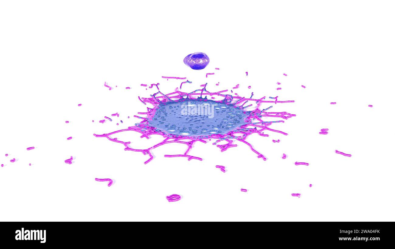 Color drop rainbow mix splash on white back super slow motion 1000 FPS ...