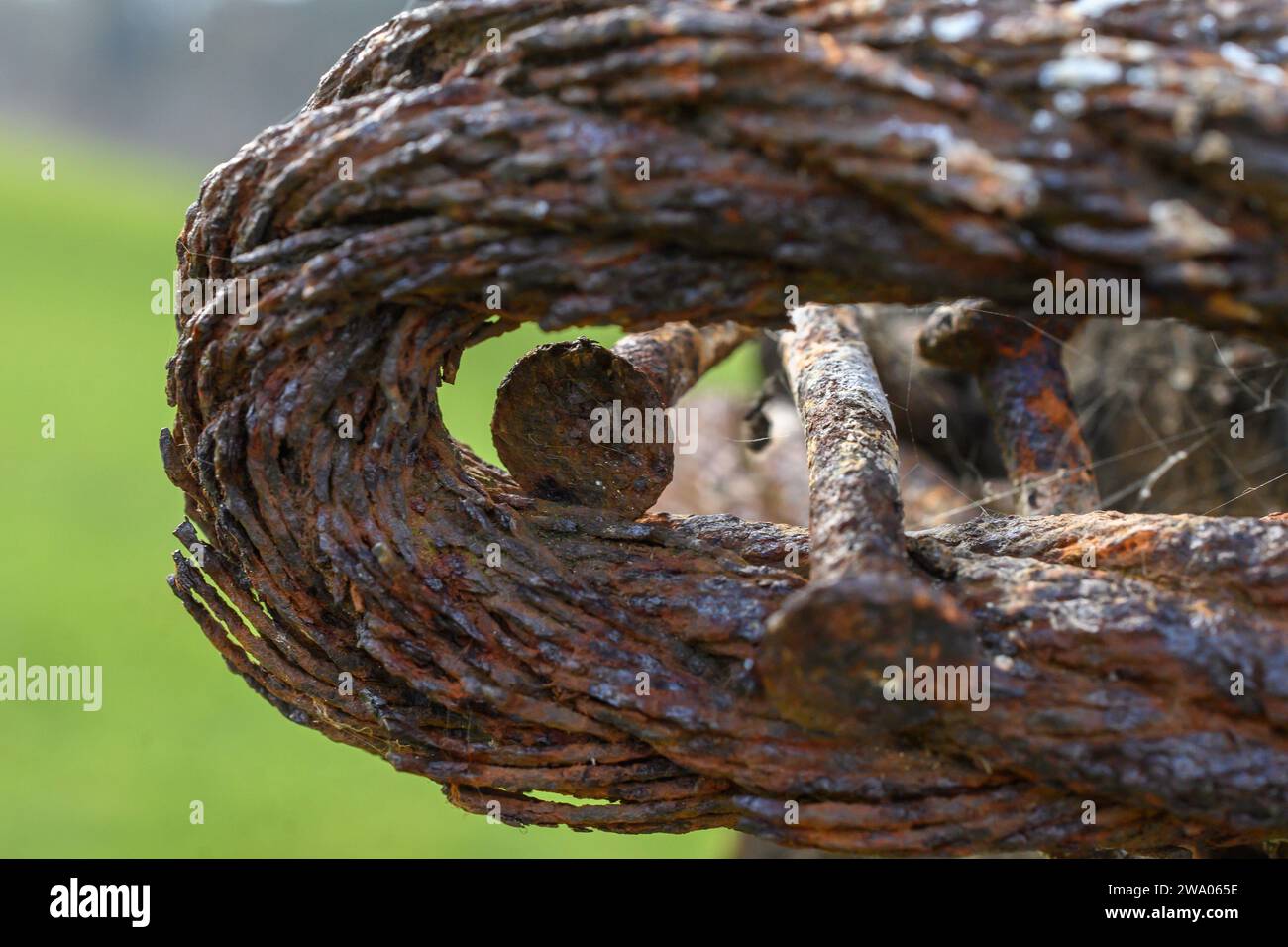 closeup of the head of two very rusty steel nails around an old rusty ...