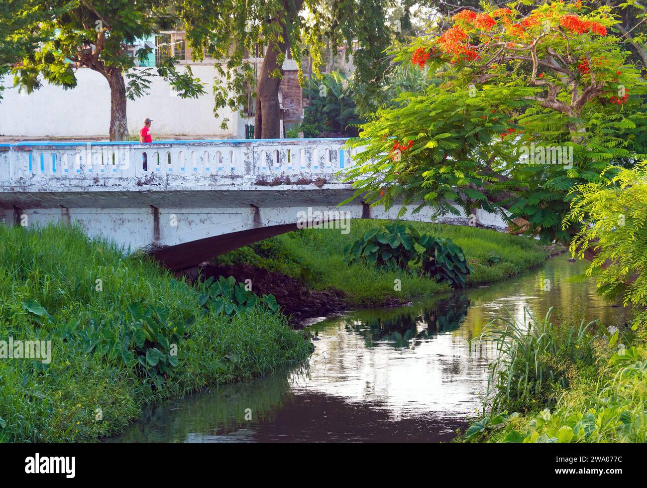 Rio Belico pollution and contamination. The small rivers cross Santa ...