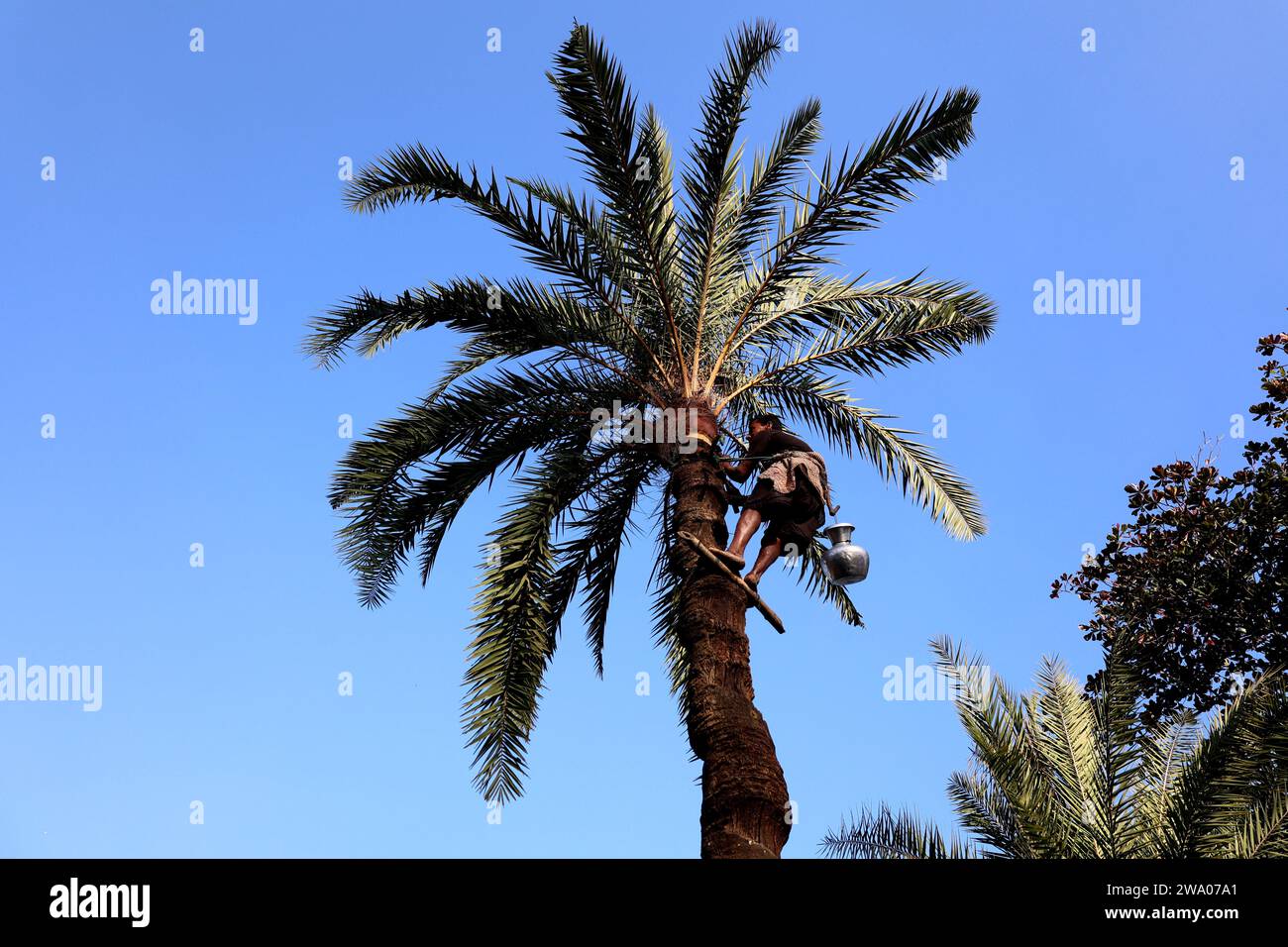 Chittagong, Bowalkhali, Bangladesh. 31st Dec, 2023. Mainuddin Molla is ...