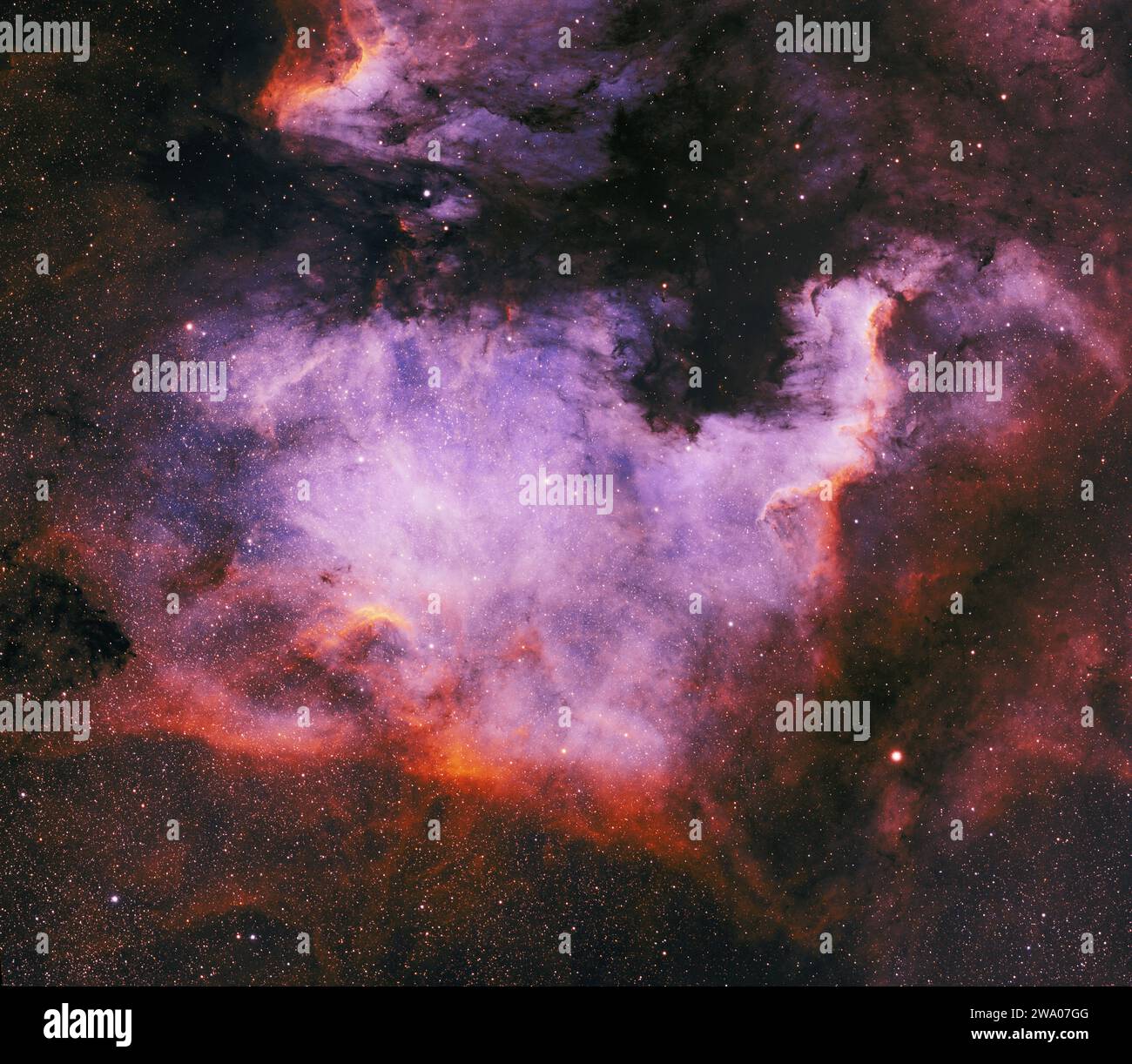 NGC7000, North American, Nebula, stars, pelican Stock Photo - Alamy