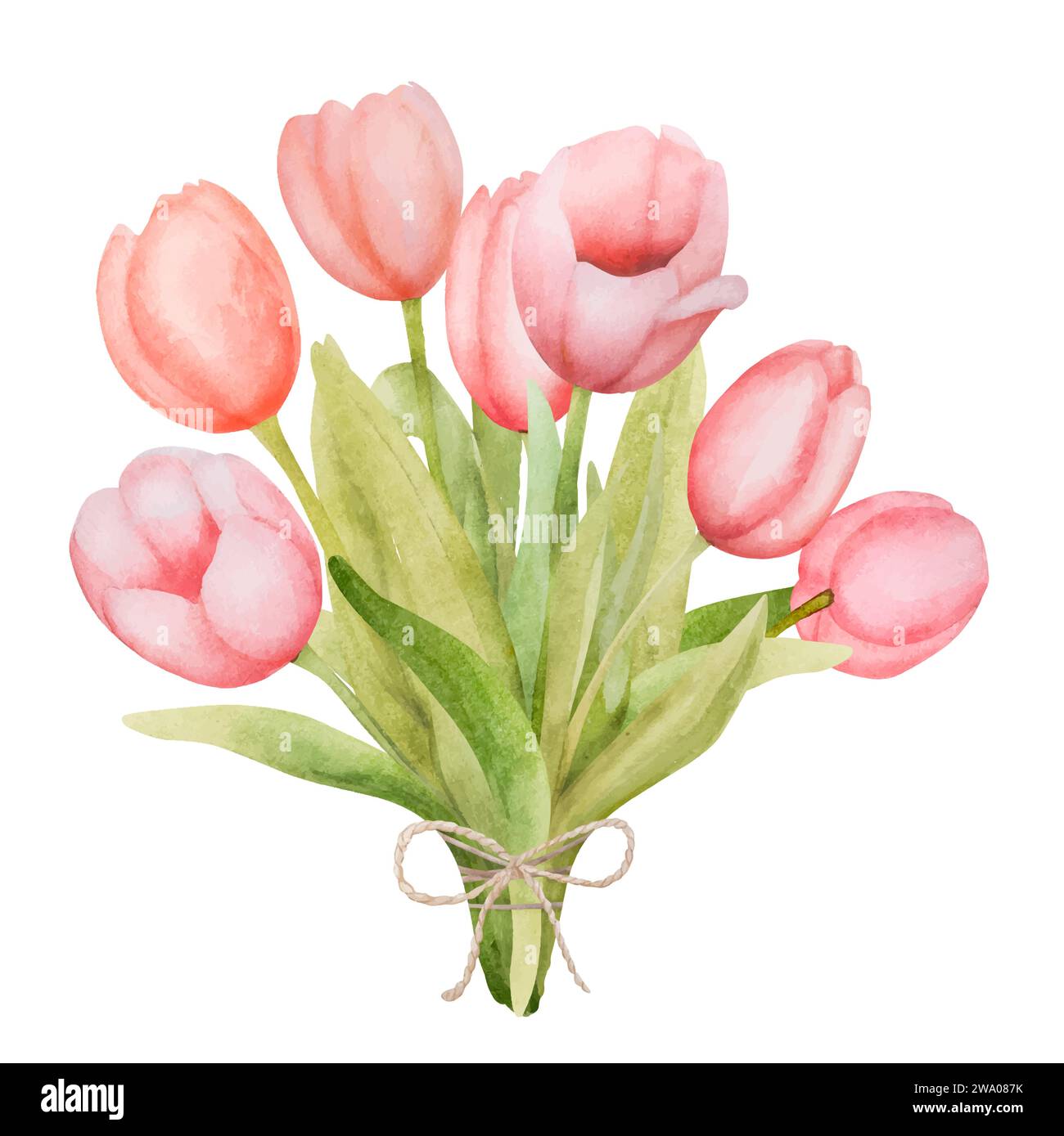 Beautiful Pink Tulip Flowers Bouquet Watercolor Paiting Spring Blossom