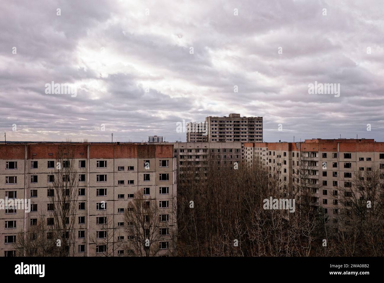 Grey buildings with many windows are surrounded by barren trees under a ...