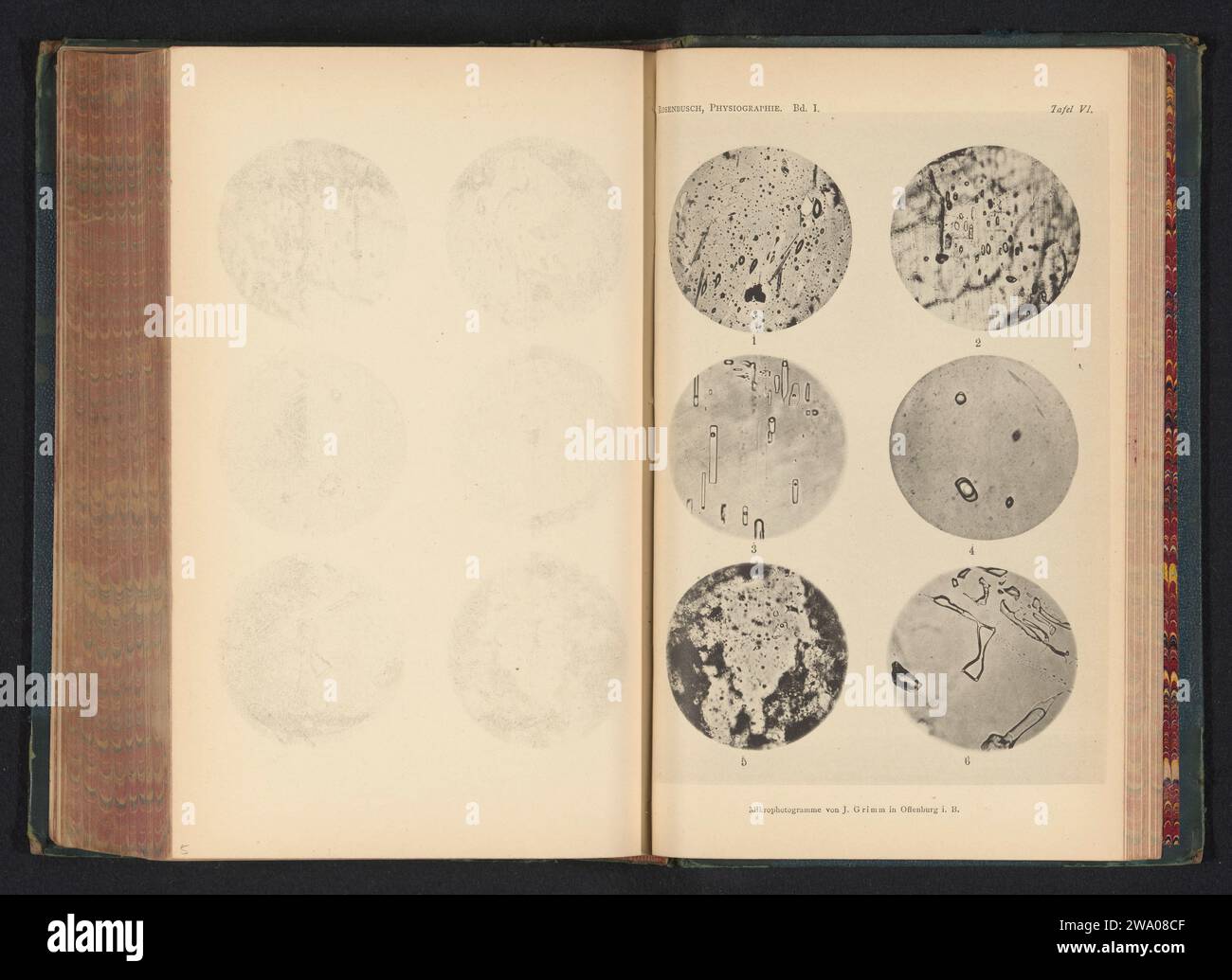 Six microscopic magnifications of minerals, Cohen, c. 1880 - in or ...