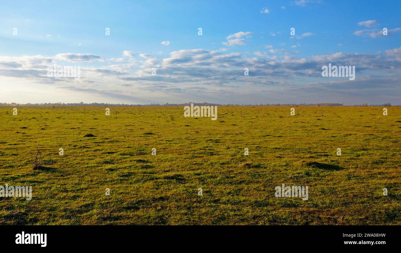 Open grassland, clear skies, and distant horizon Stock Photo - Alamy