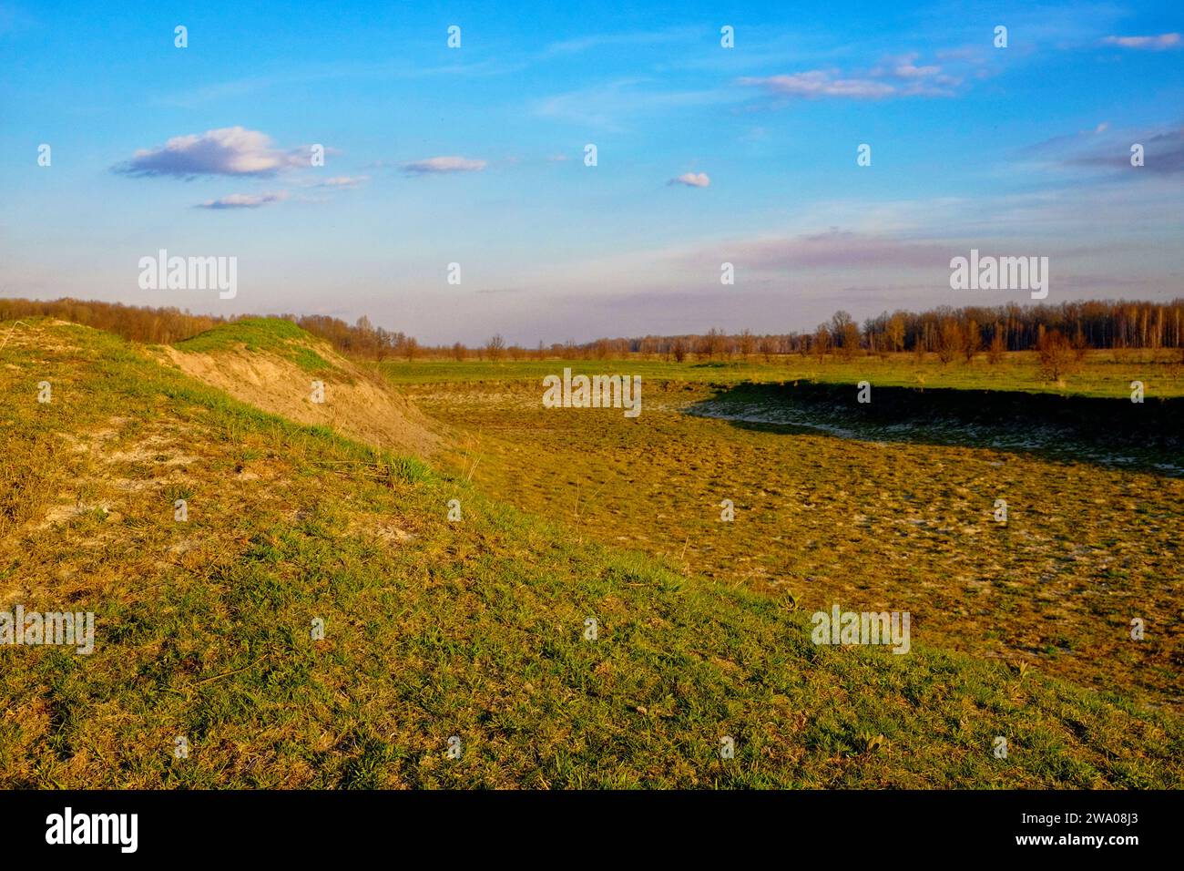 The dry pond landscape is depicted in this photograph, where the ...