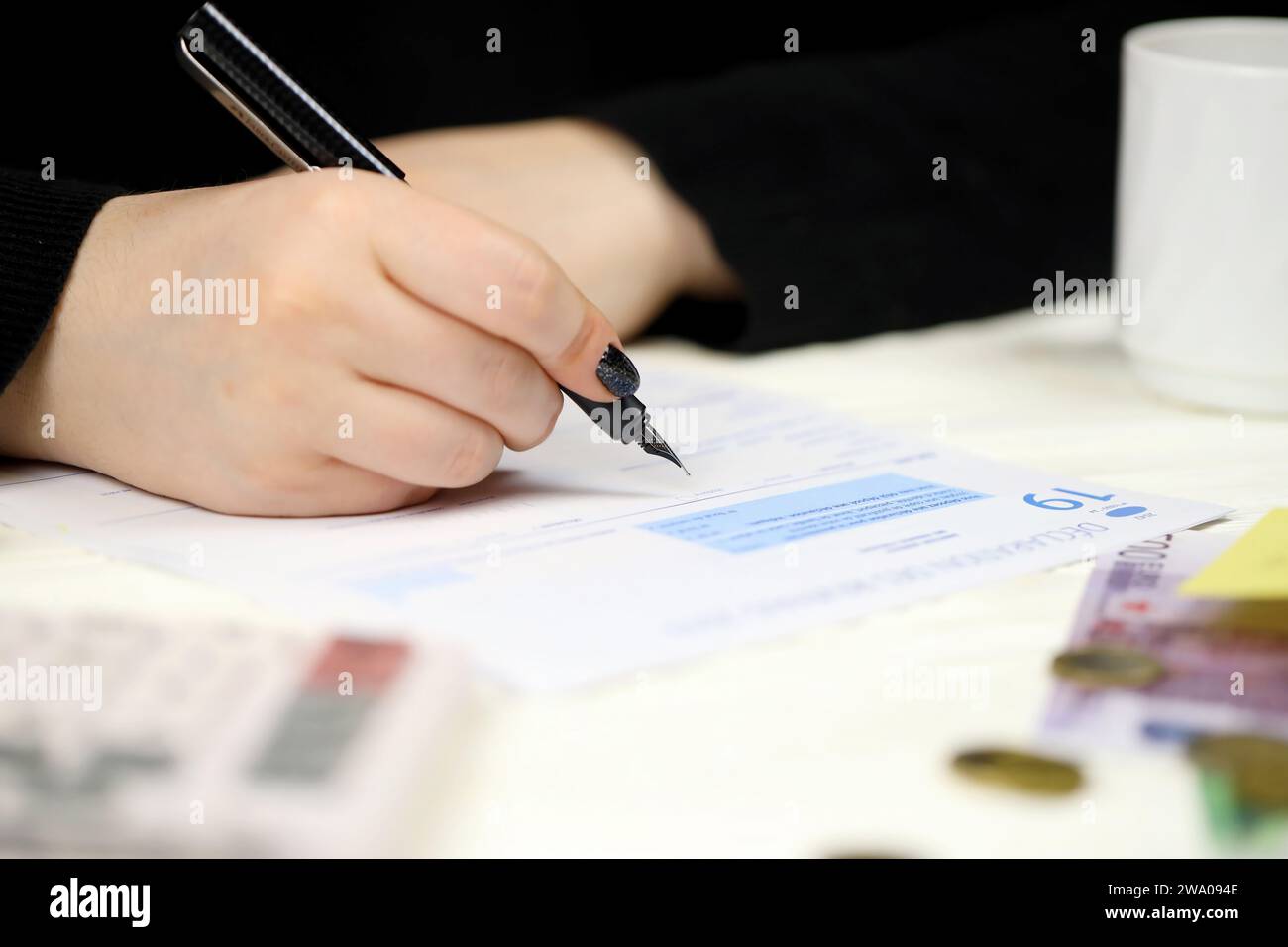 Accountant fill french tax form 2042 income statement in end of tax ...