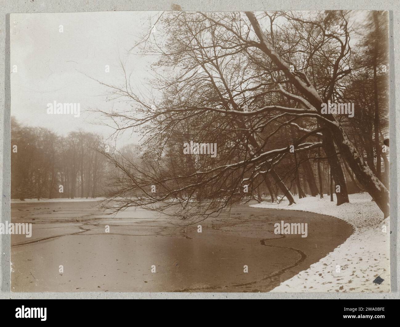 Face in the Hague Bos, 1923 photograph Netherlands photographic support ...
