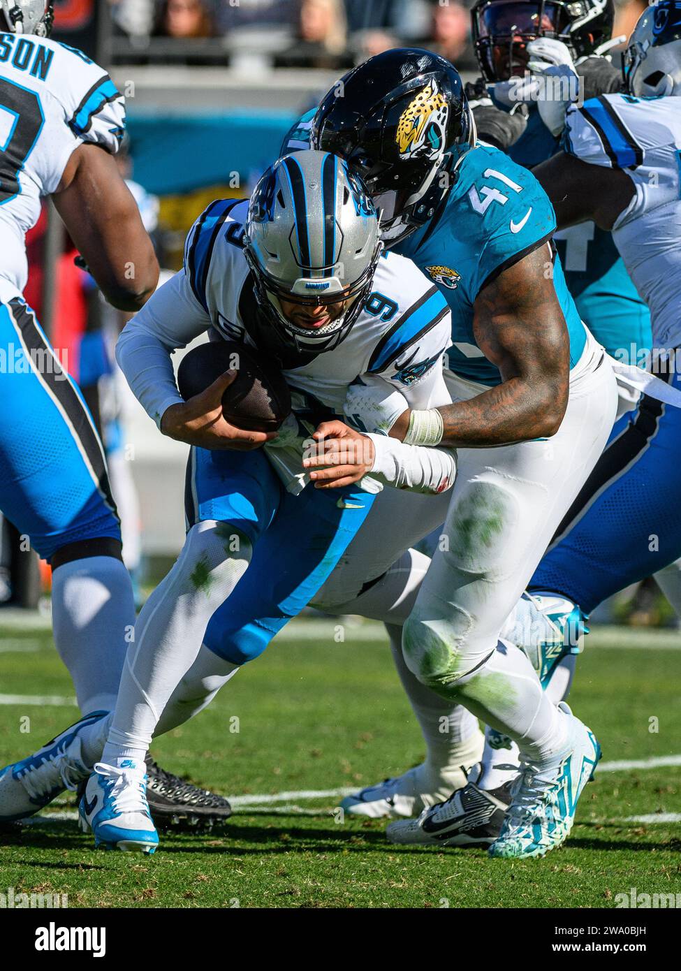 Jacksonville, FL, USA. 31st Dec, 2023. Carolina Panthers quarterback ...