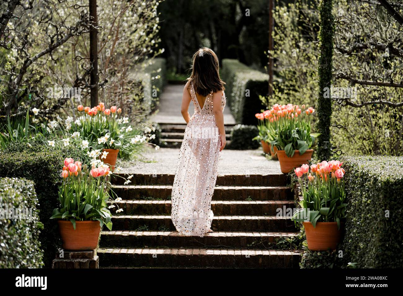 Beautiful Fit Curvy Young Asian Woman Sheer Sequin Gown Standing in a ...