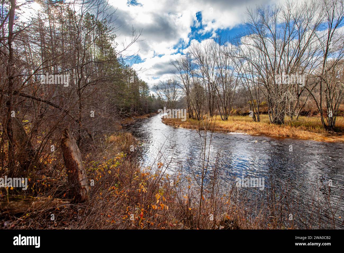 Rib River flowing through a Wisconsin forrest, horizontal Stock Photo ...