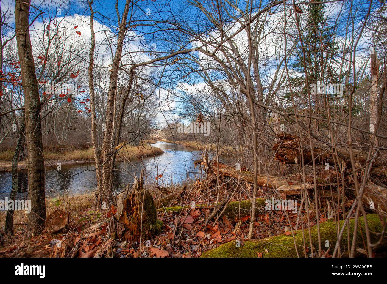 Rib River flowing through a Wisconsin forrest, horizontal Stock Photo ...
