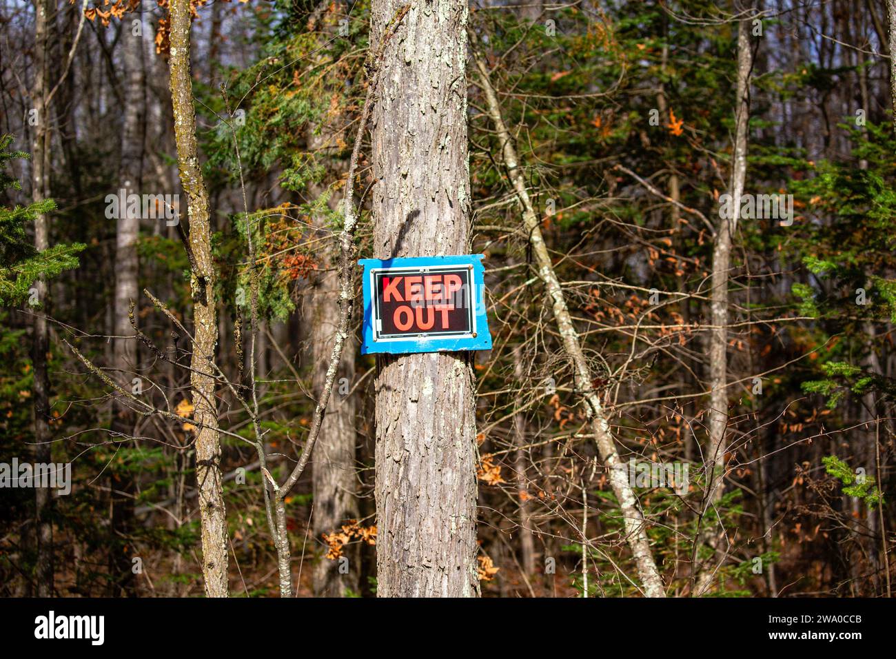 Wisconsin forrest with a keep out sign posted on a tree, horizontal ...
