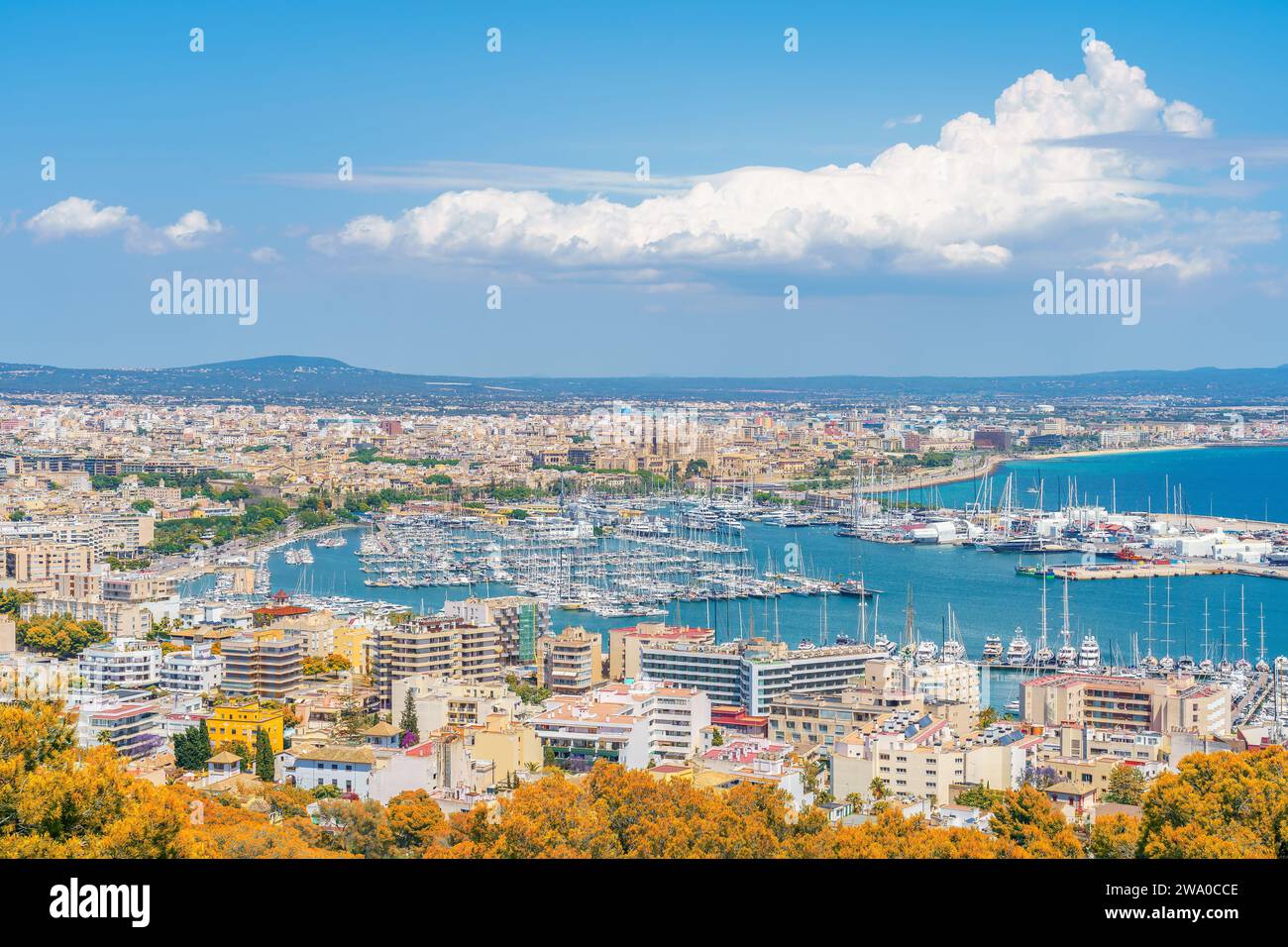 Mallorcas vibrant capital hi-res stock photography and images - Alamy