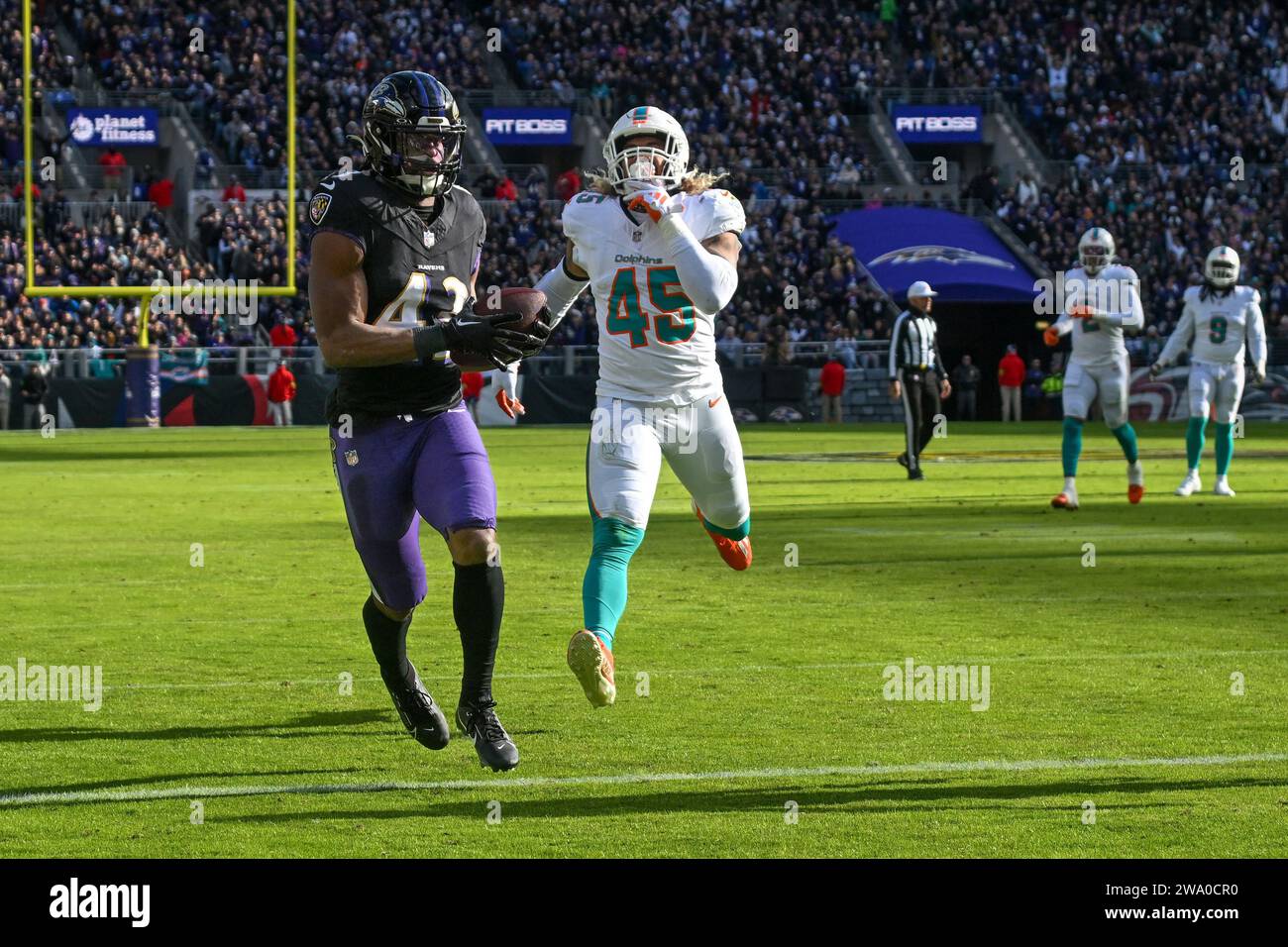 Duke riley hi-res stock photography and images - Alamy