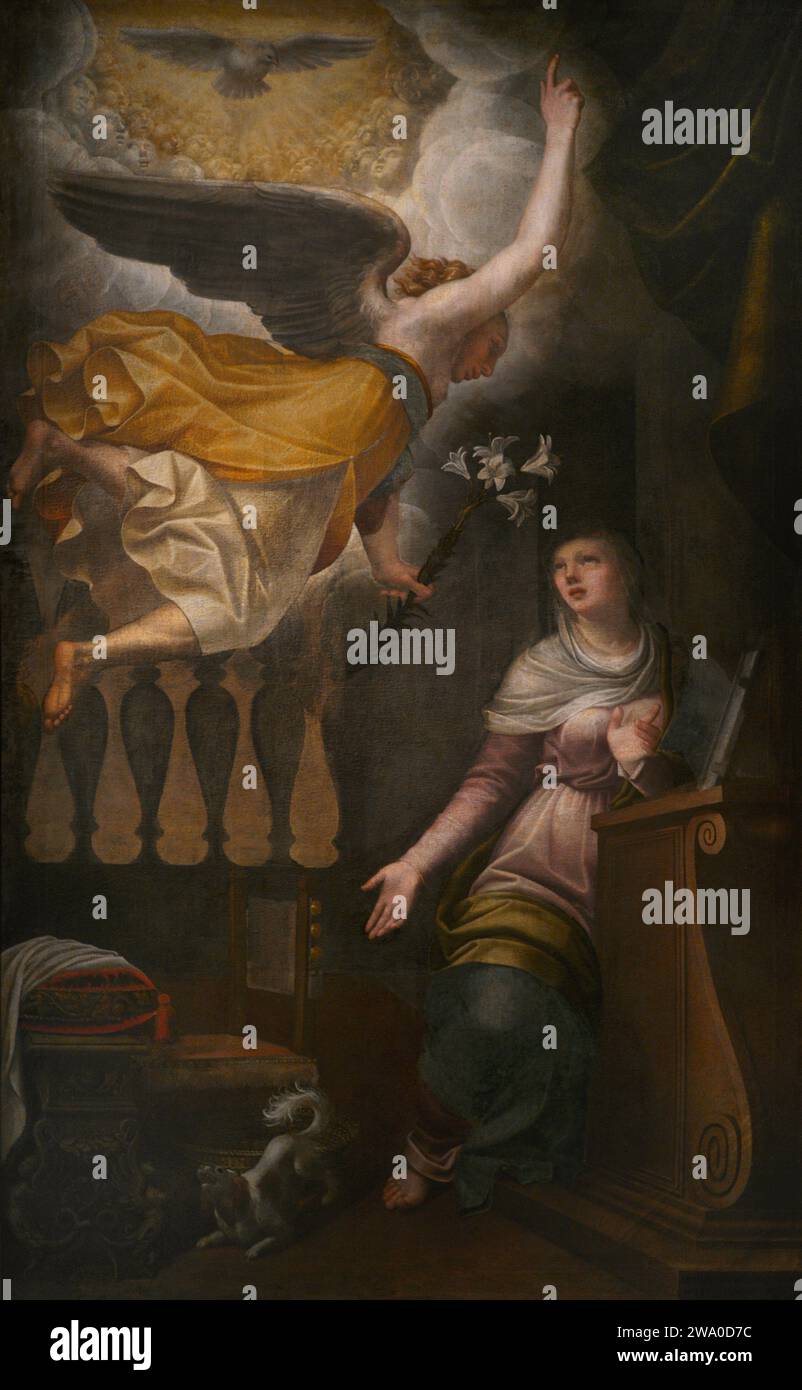 Soiaro hi-res stock photography and images - Alamy